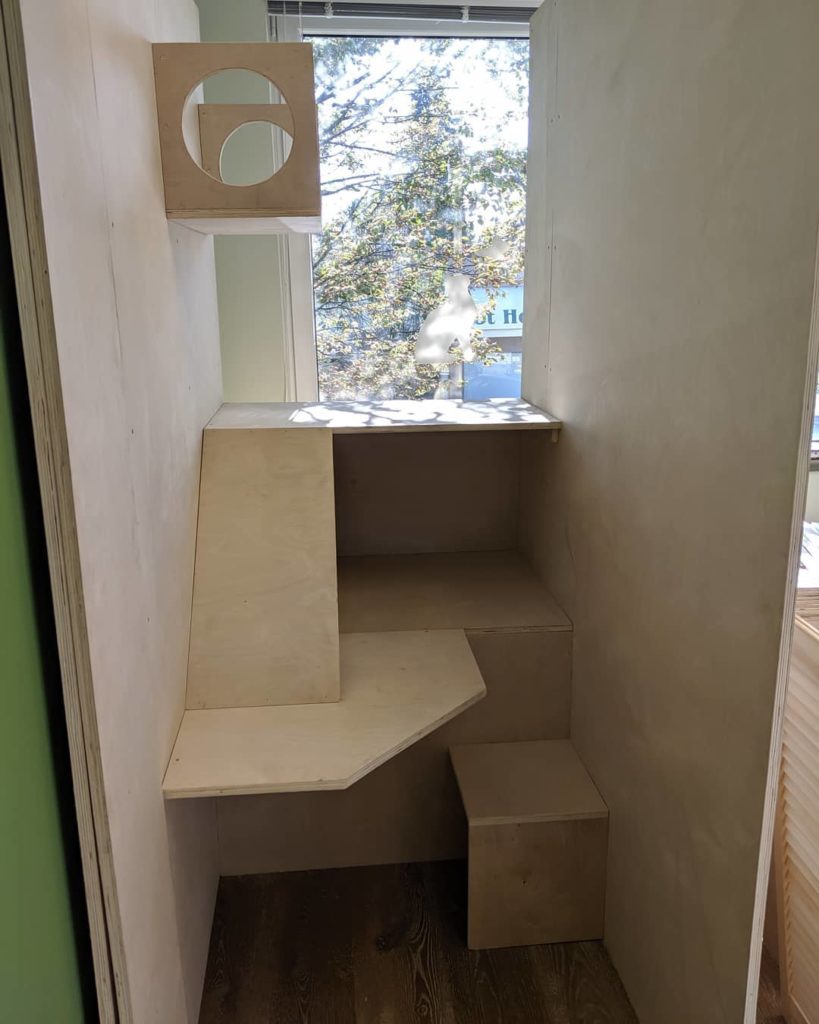 city view suite | Purrfect Cat Boarding