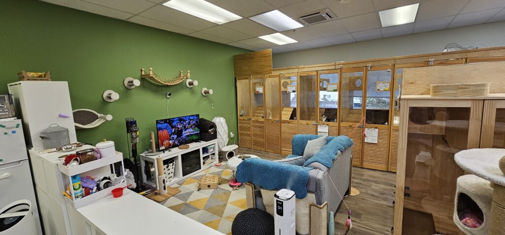 Room and Rates | Purrfect Cat Boarding